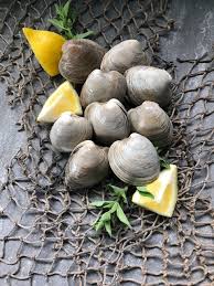 Substrate Type For Optimal Clam Growth And Survival Rate - Profitable ...